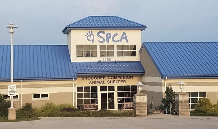 York County SPCA Hosting Adoption Event